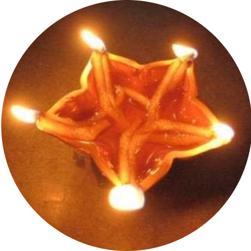Diya Wicks – Srishti